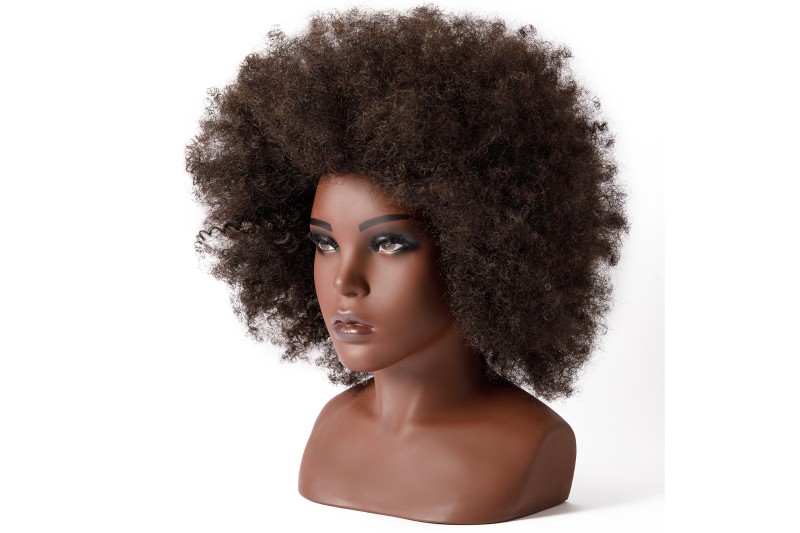 Authentic training head launched for Afro hair